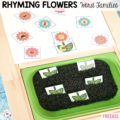 The Tiny Seed Activities for Preschool and Kindergarten + FREEBIE