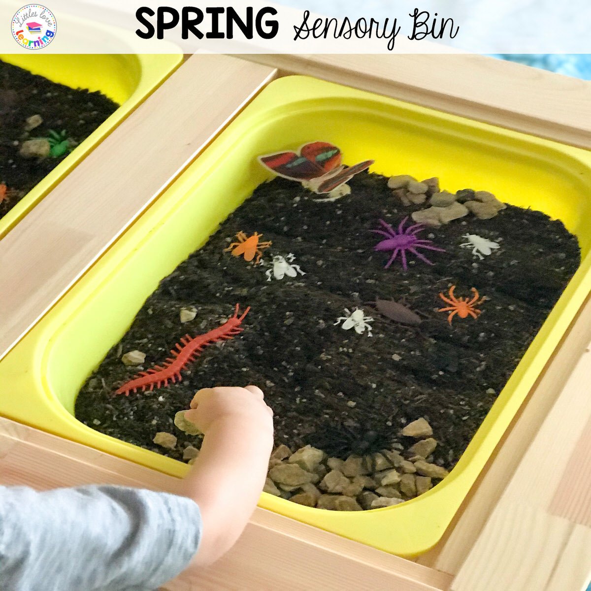 Fun, Hands-On Preschool Spring Sensory Bin (+Freebie)