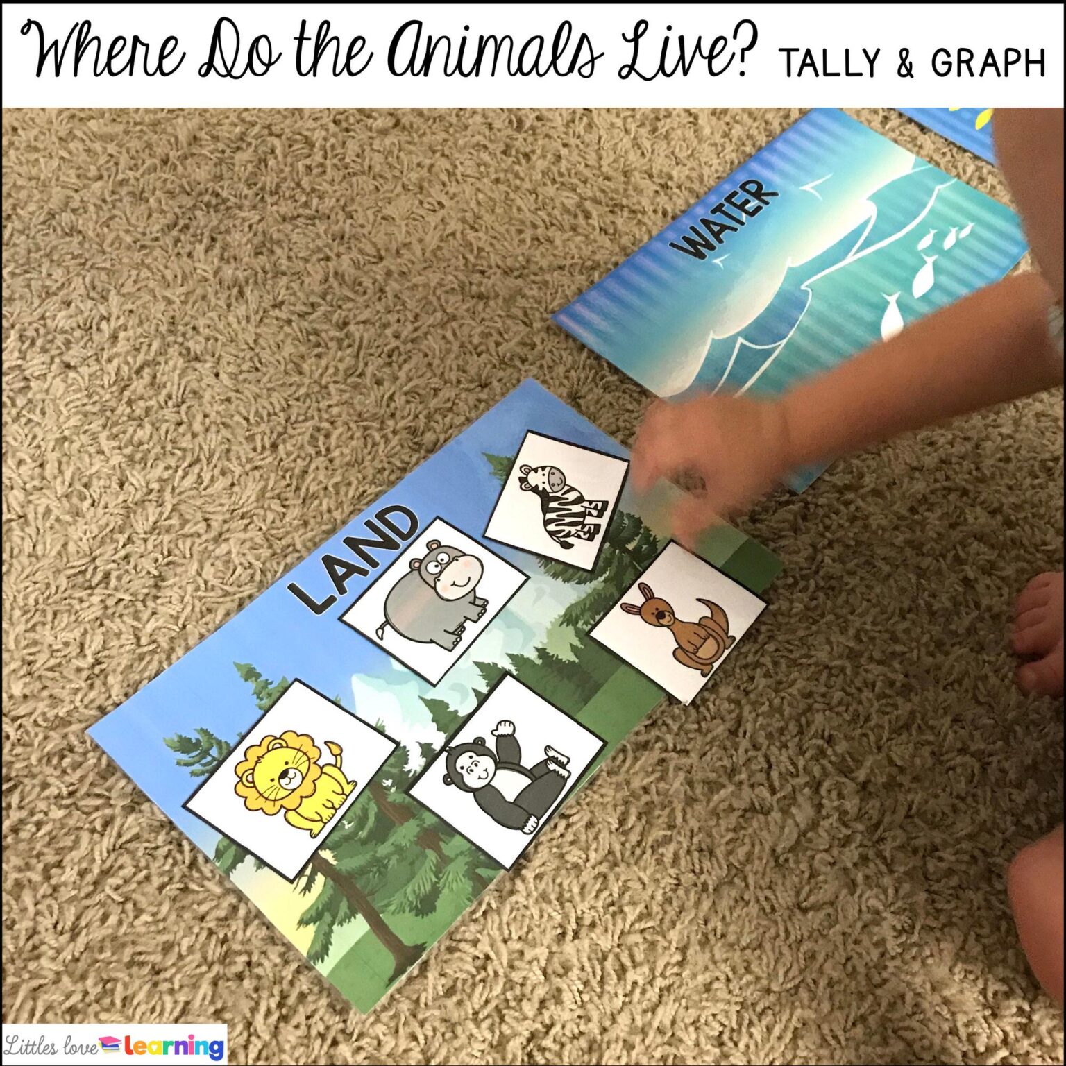 The BEST Activities Inspired by the book Ellie by Mike Wu