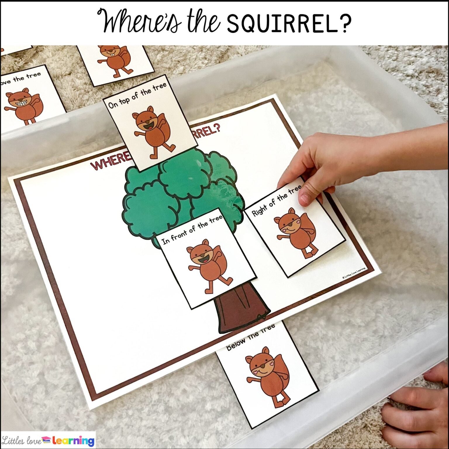Fun Scaredy Squirrel Activities for Preschool, Pre-K, Kindergarten