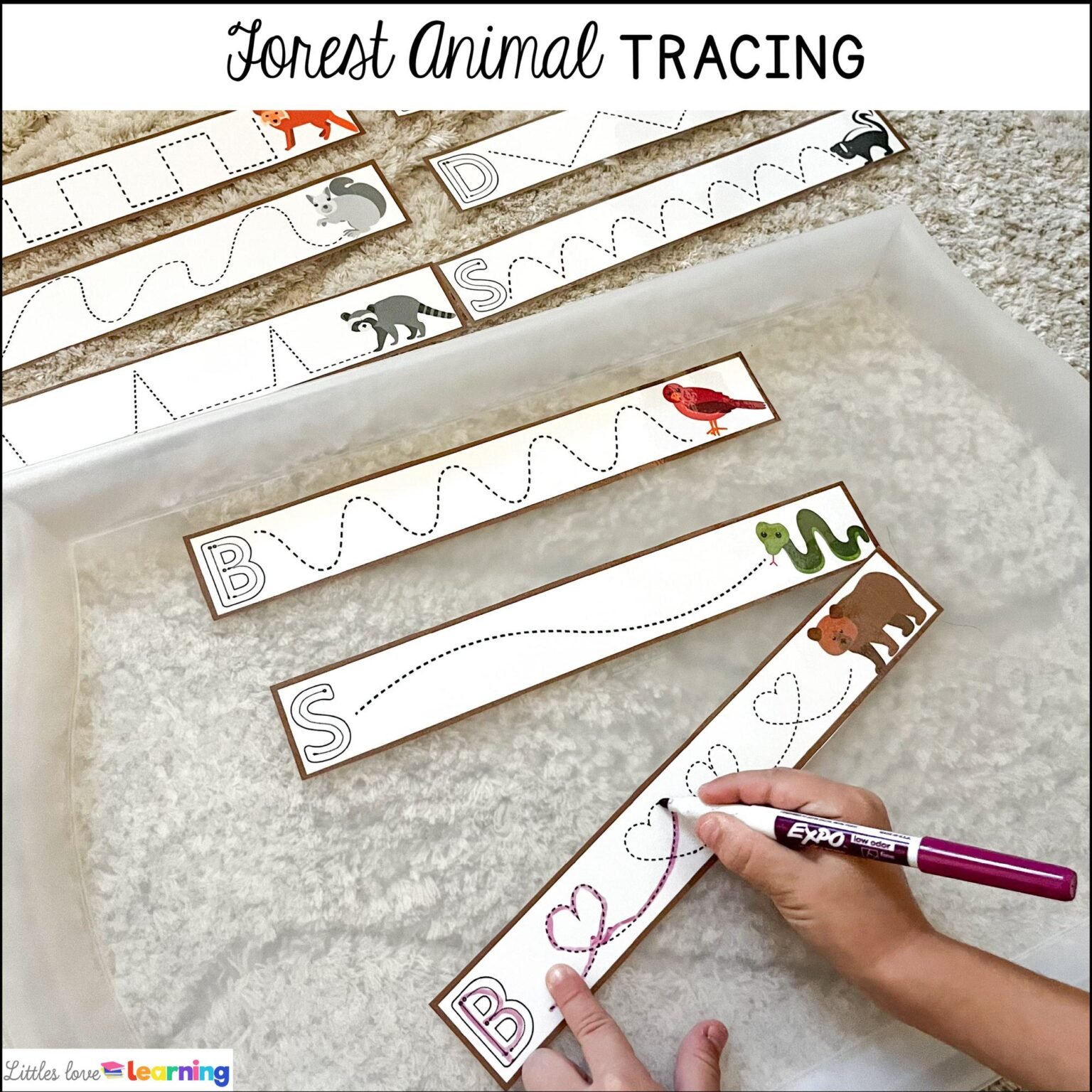 The BEST Gruffalo Activities for Preschool, Pre-K, Kindergarten