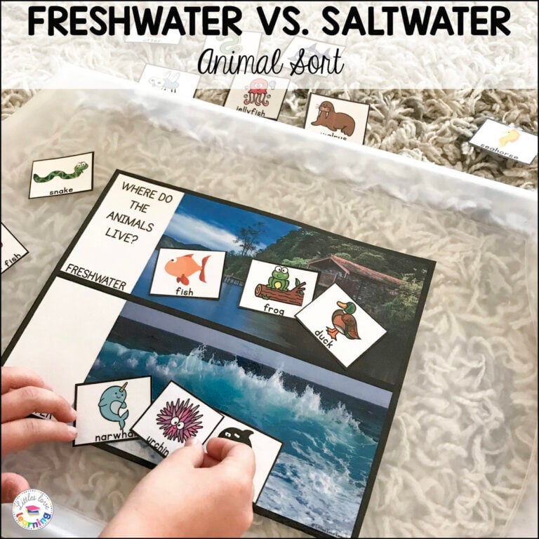 20+ Extraordinary Earth Activities for Extraordinary Preschoolers!