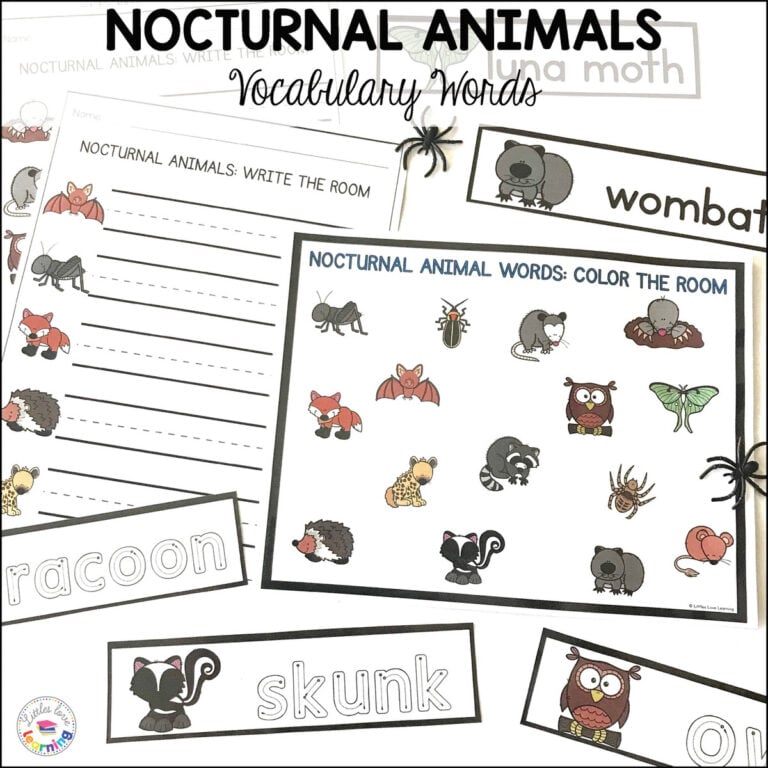 The BEST Nocturnal Animals Activity Pack (Math & Literacy Printables)