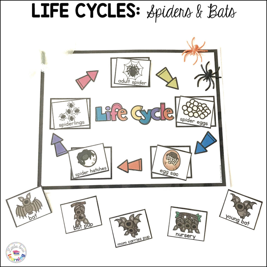 The BEST Nocturnal Animals Activity Pack (Math & Literacy Printables)