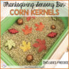 The EASIEST Thanksgiving Sensory Bin You'll Be Thankful For This Year!