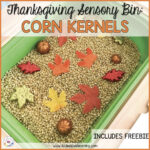 The EASIEST Thanksgiving Sensory Bin You'll Be Thankful For This Year!