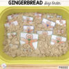 Fun and FREE Ninjabread Man Activities for Preschool & Pre-K