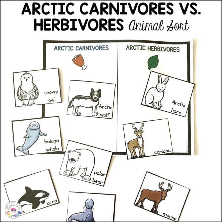 The MOST FUN Polar Habitats Activity Pack Math/Literacy Printables