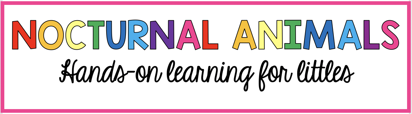 Nocturnal Animal Theme for Preschool, Pre-K, and Kindergarten