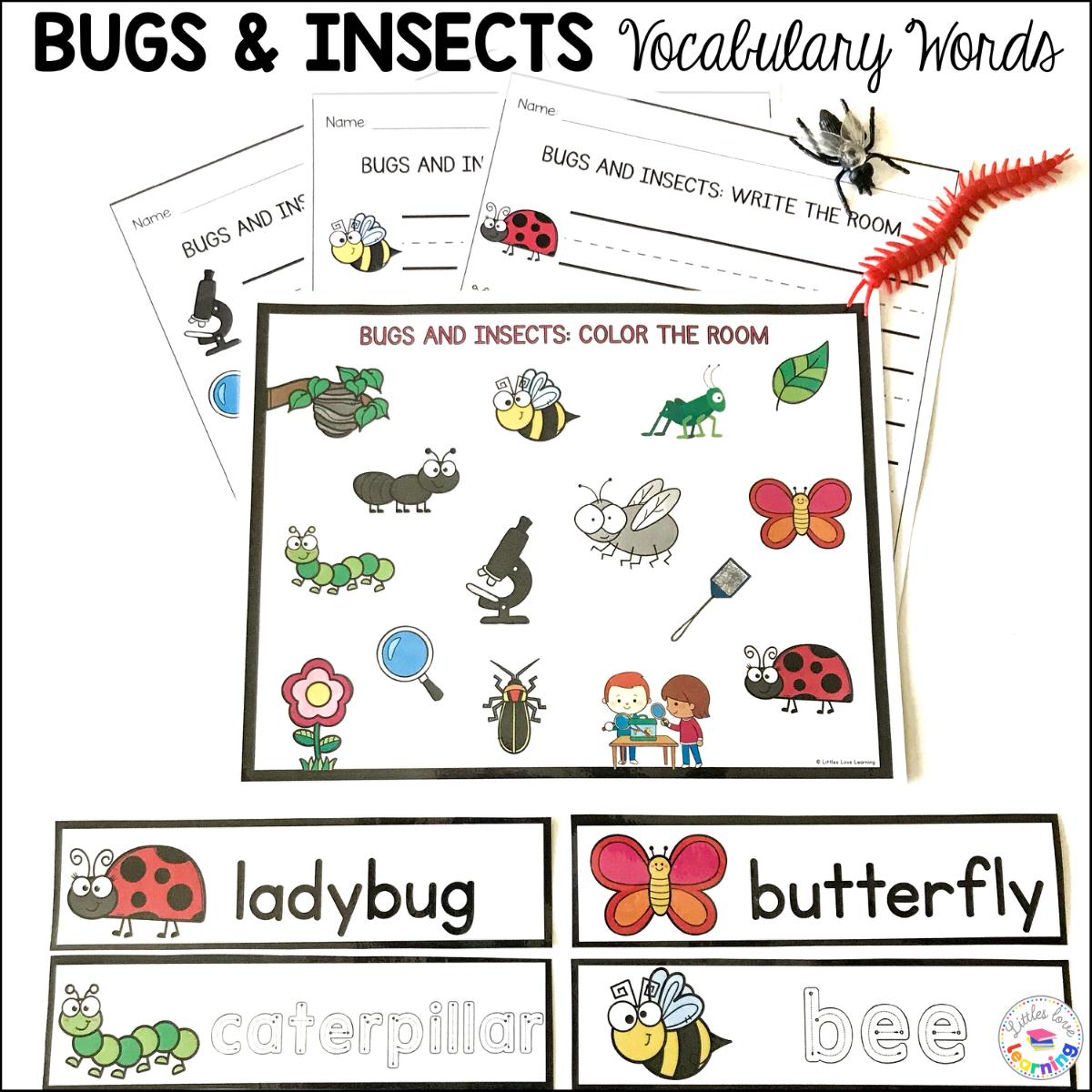 Busy Bugs & Insects Preschool & Pre-K Math & Literacy Printables