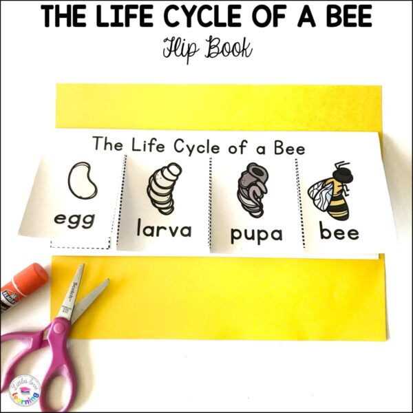 Busy Bugs & Insects Preschool & Pre-K Math & Literacy Printables