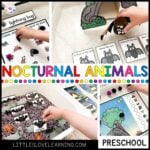 Up All Night! 30+ Nocturnal Animals Activities for Preschool & PreK