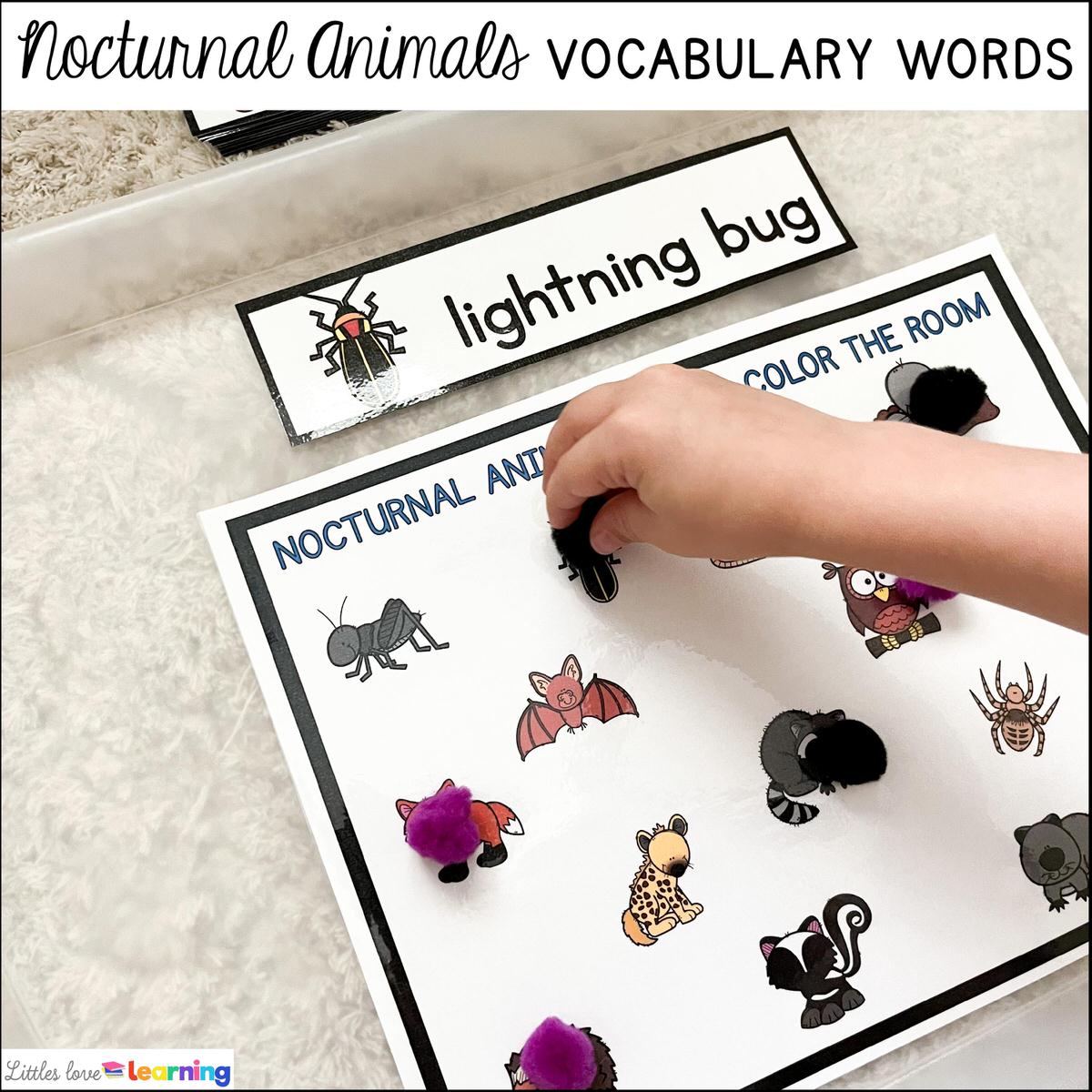 Up All Night! 30+ Nocturnal Animals Activities for Preschool & PreK