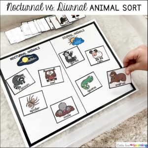 Up All Night! 30+ Nocturnal Animals Activities for Preschool & PreK