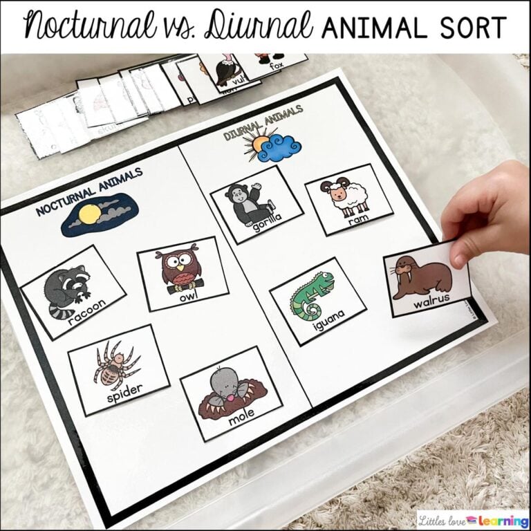 Up All Night! 30+ Nocturnal Animals Activities for Preschool & PreK