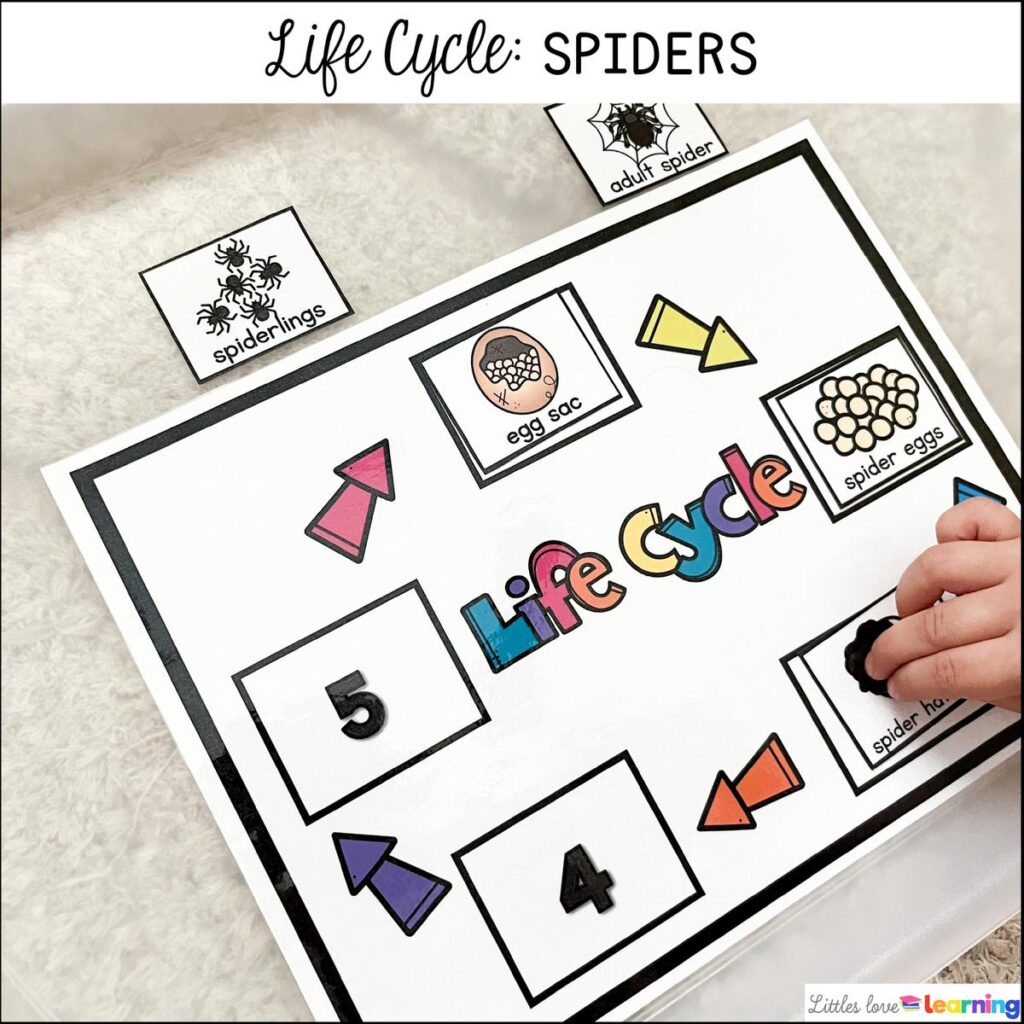 Up All Night! 30+ Nocturnal Animals Activities for Preschool & PreK