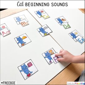 Groovy Pete the Cat Activities For Preschool and Kindergarten