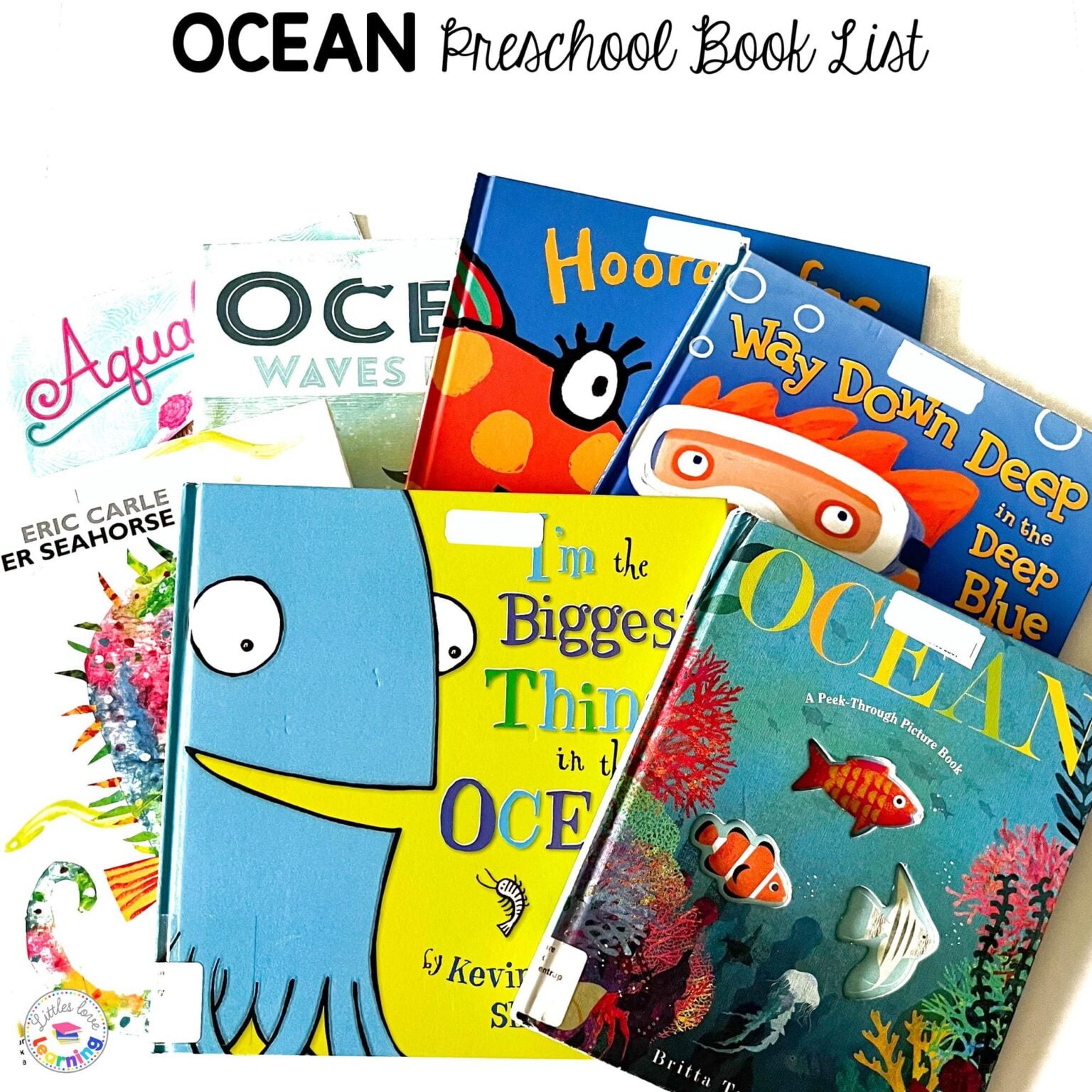 The Most Marvelous Ocean Books for Preschool and Kindergarten