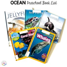 The Most Marvelous Ocean Books for Preschool and Kindergarten