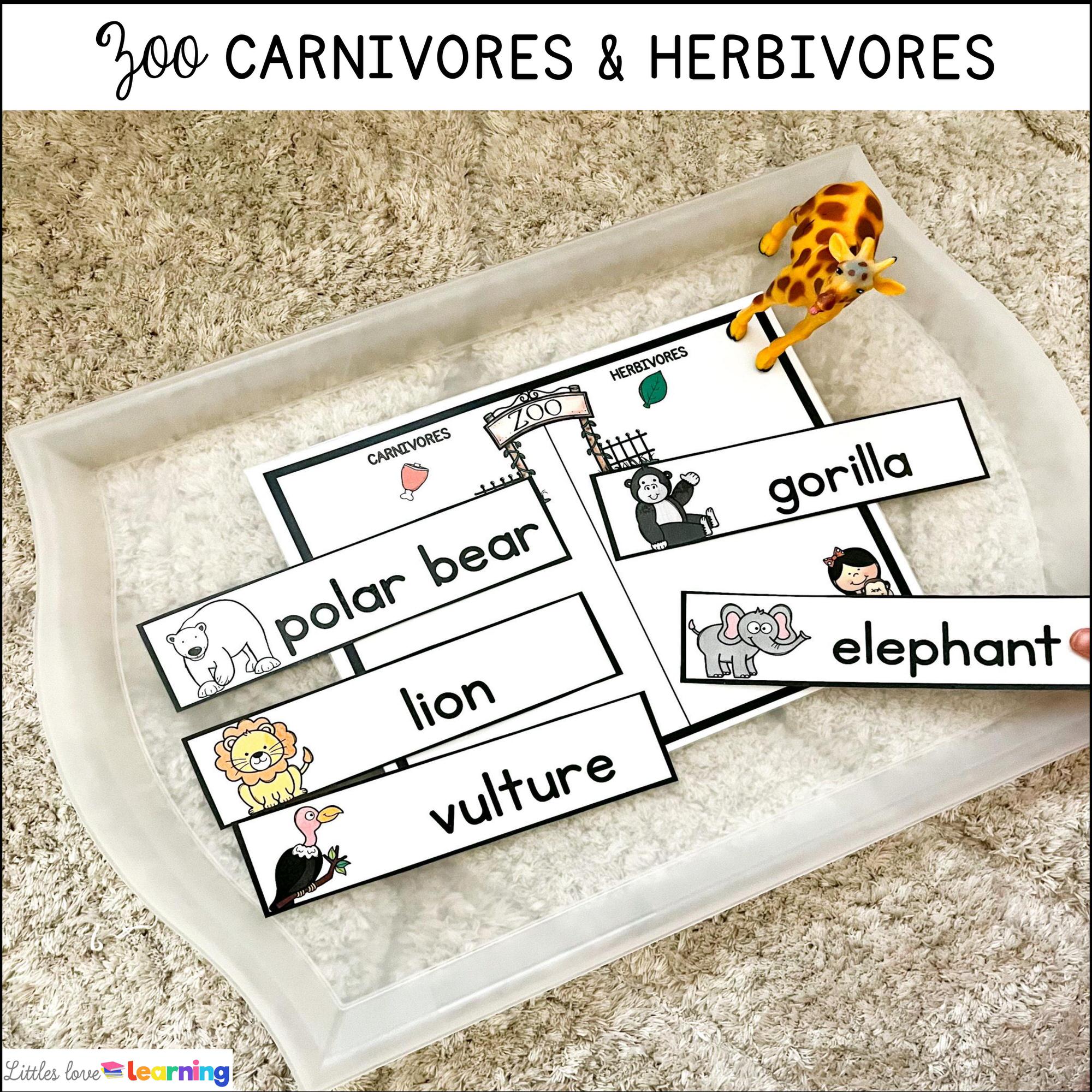 WILD Zoo Animal Preschool, Pre-K, & Kindergarten Activities