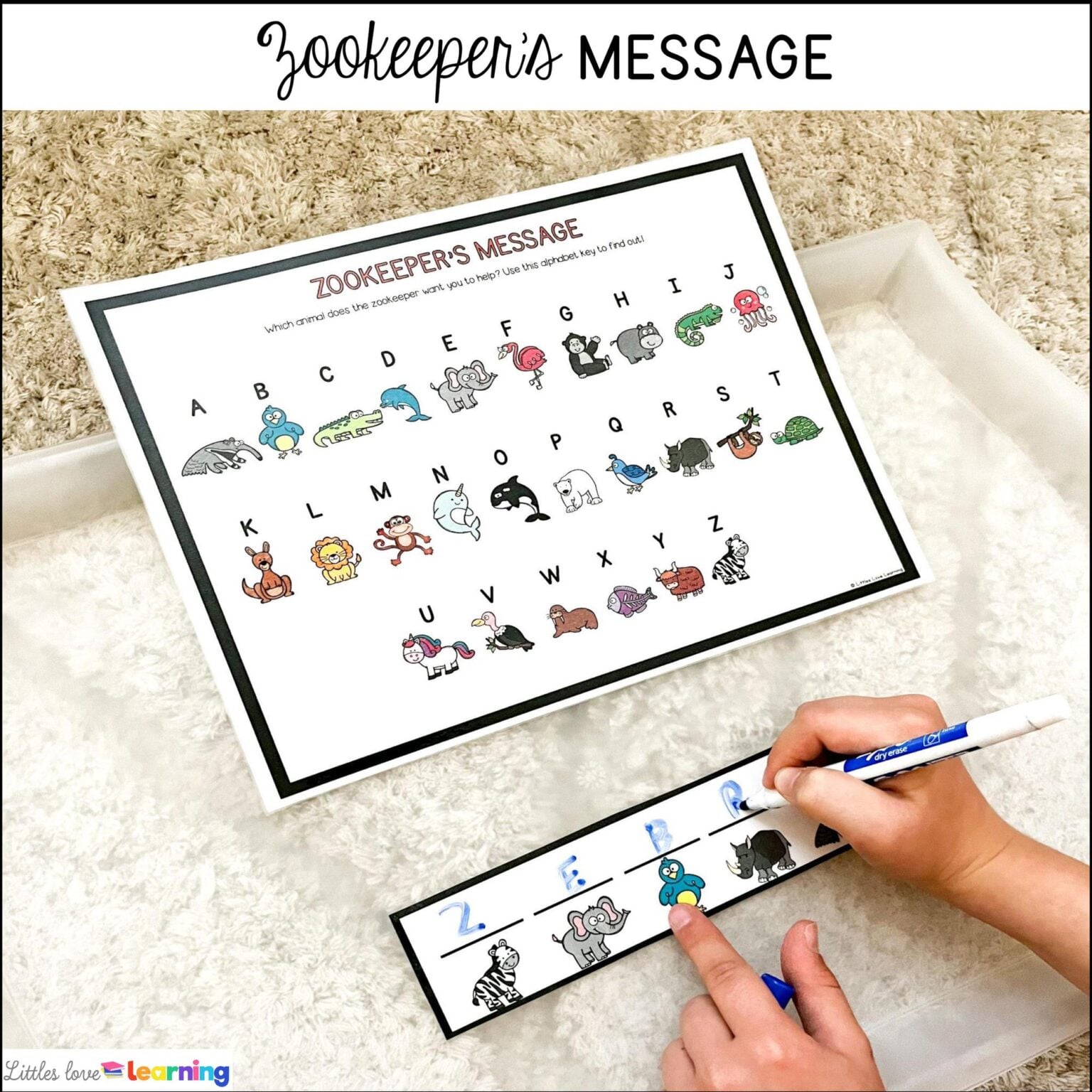 WILD Zoo Animal Preschool, Pre-K, & Kindergarten Activities