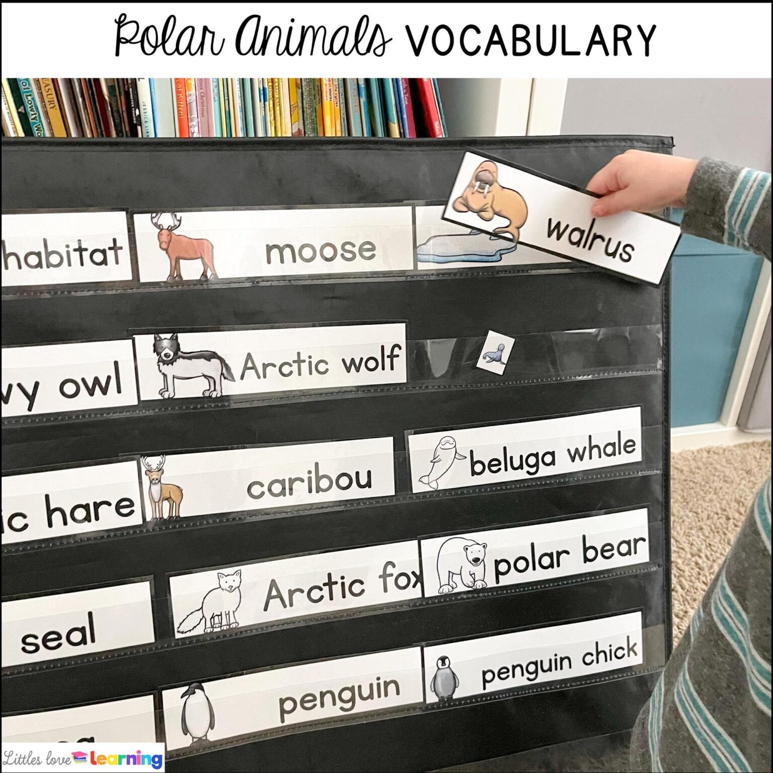 The "Coolest" Polar Animals Activities for Preschool, Pre-K, Kinder