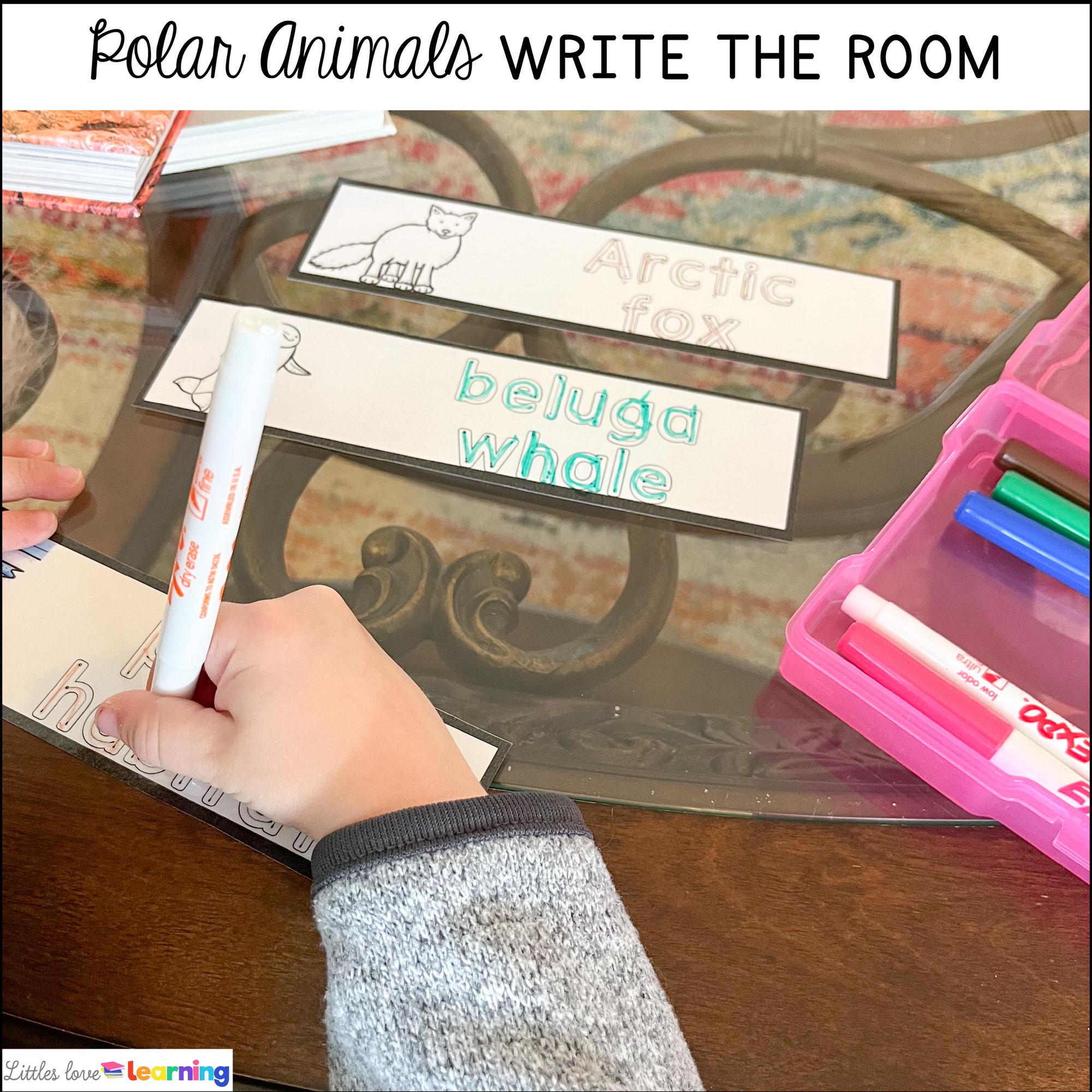 The "Coolest" Polar Animals Activities for Preschool, Pre-K, Kinder