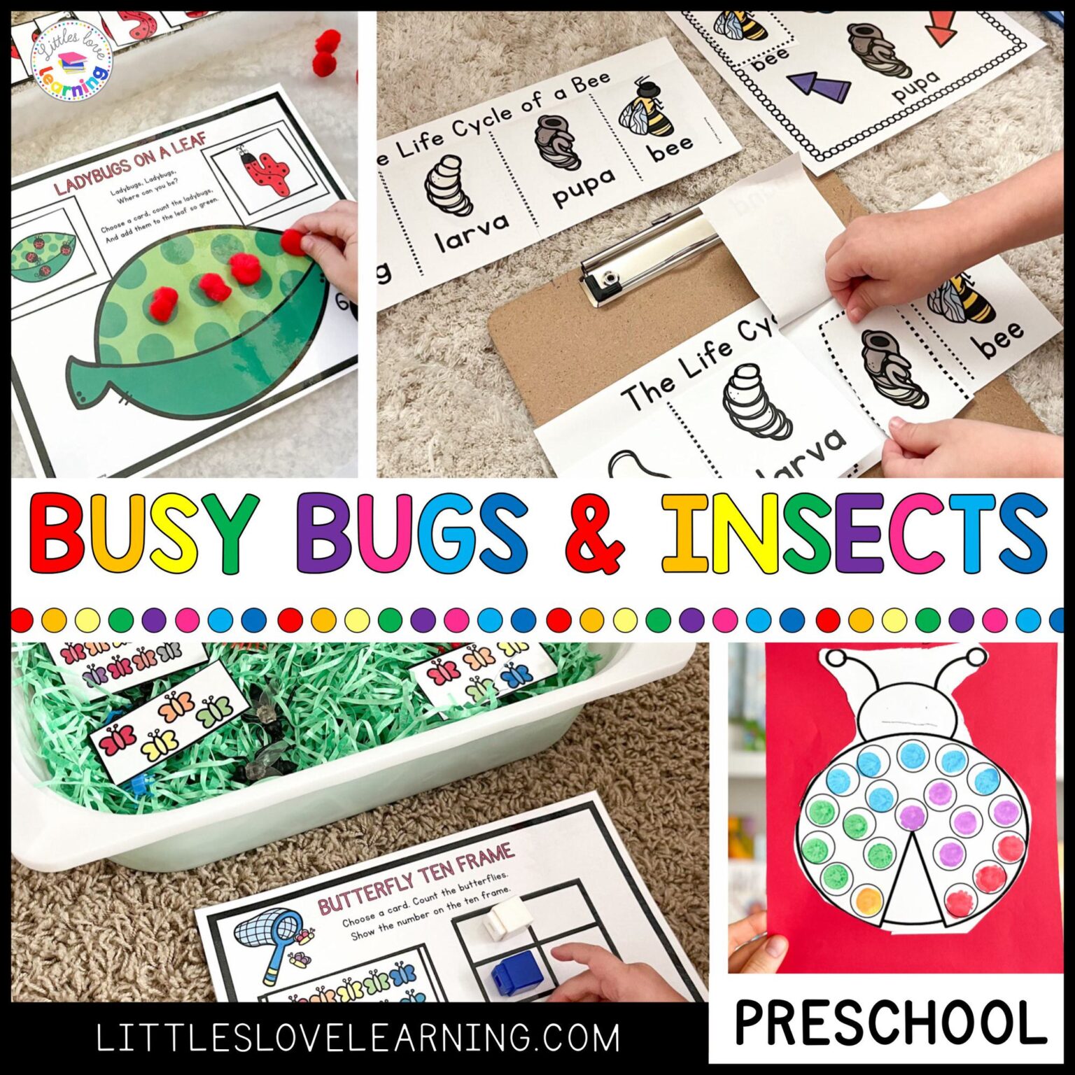 Creepy Crawly Bugs & Insects Activities: Preschool, Kindergarten