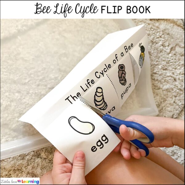 Creepy Crawly Bugs & Insects Activities: Preschool, Kindergarten