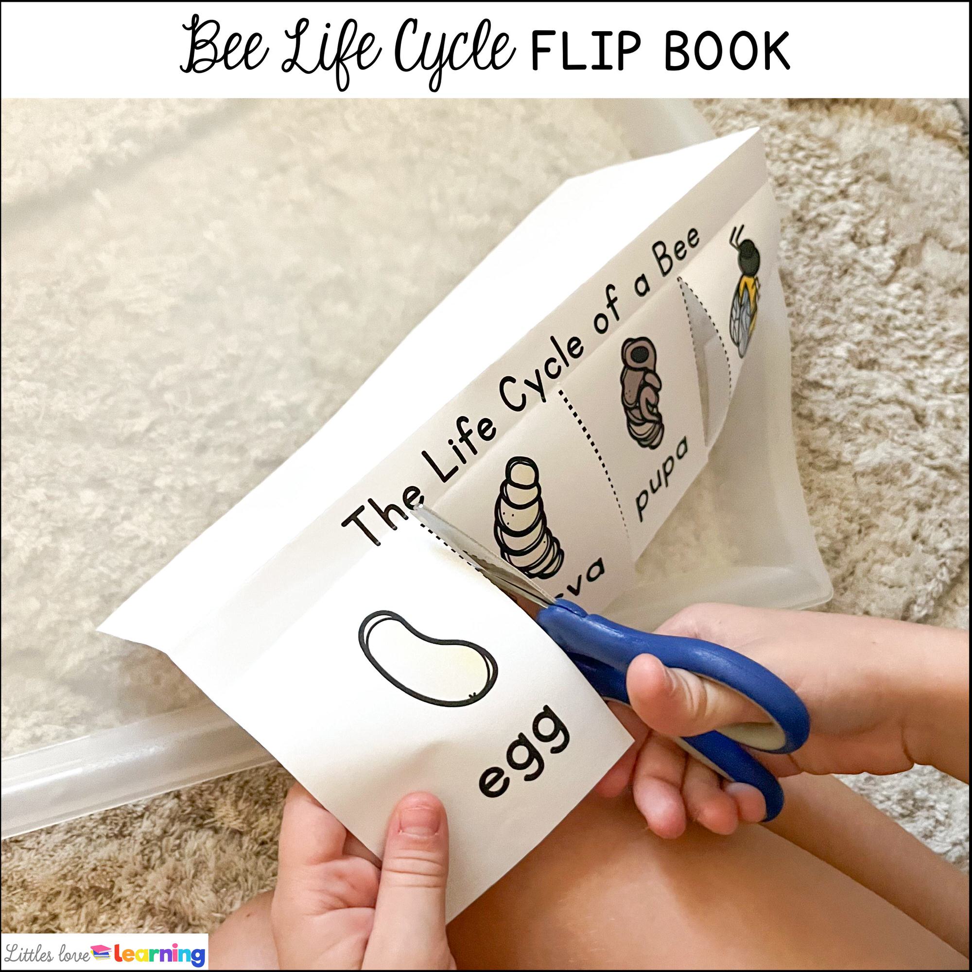 Creepy Crawly Bugs & Insects Activities: Preschool, Kindergarten