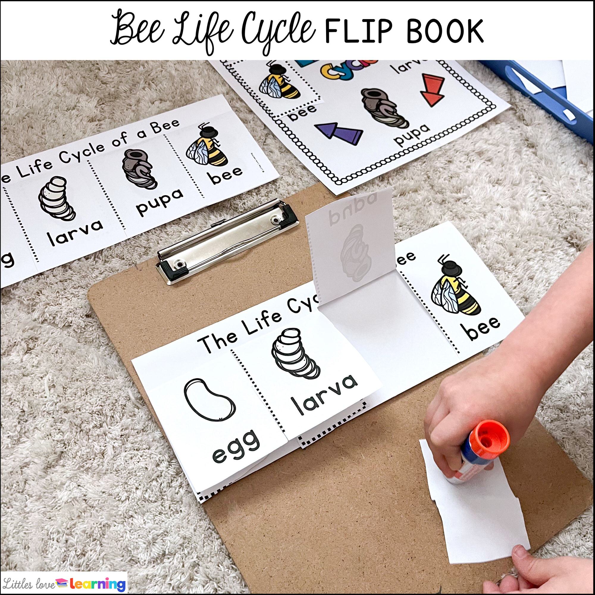 Creepy Crawly Bugs & Insects Activities: Preschool, Kindergarten