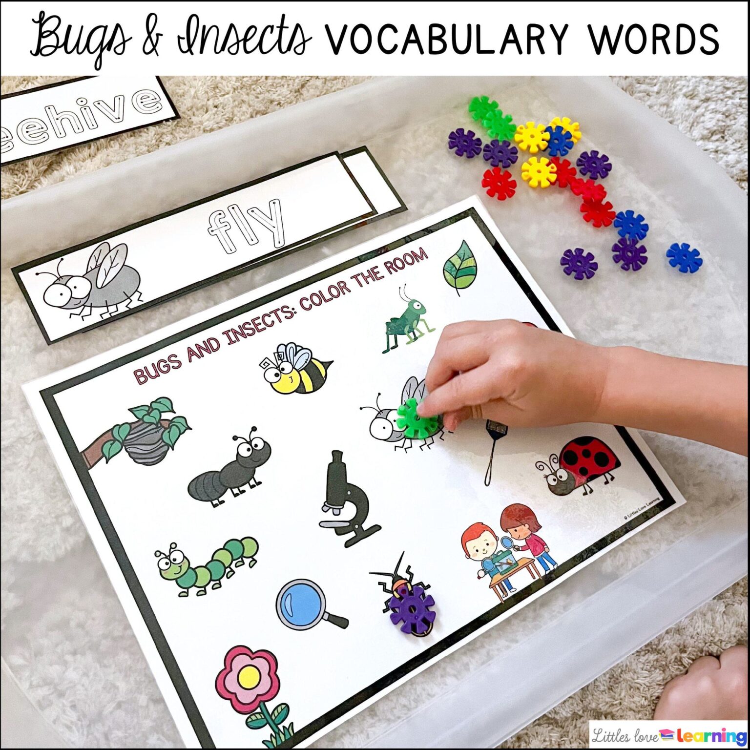 Creepy Crawly Bugs & Insects Activities: Preschool, Kindergarten