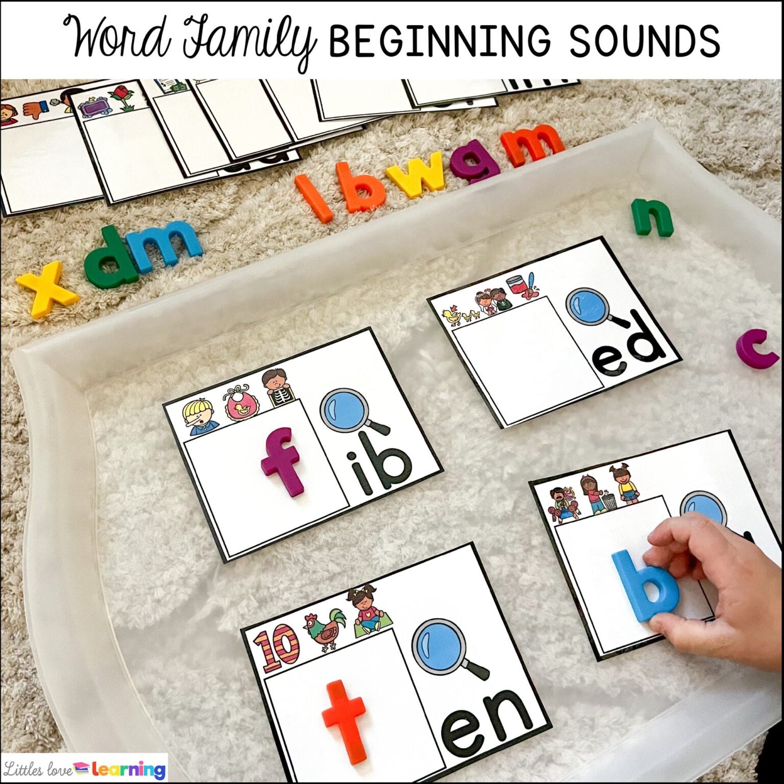 Creepy Crawly Bugs & Insects Activities: Preschool, Kindergarten