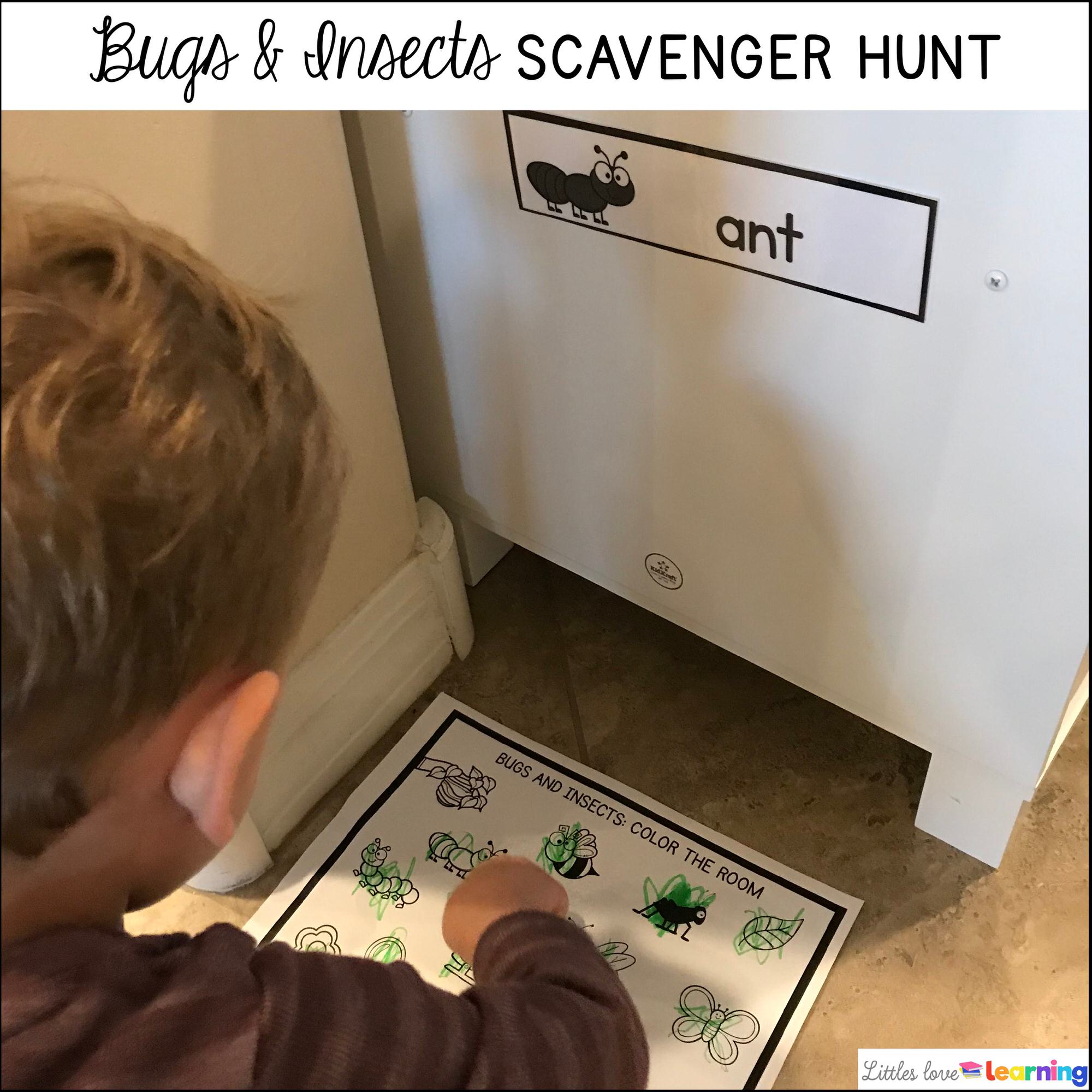 Creepy Crawly Bugs & Insects Activities: Preschool, Kindergarten