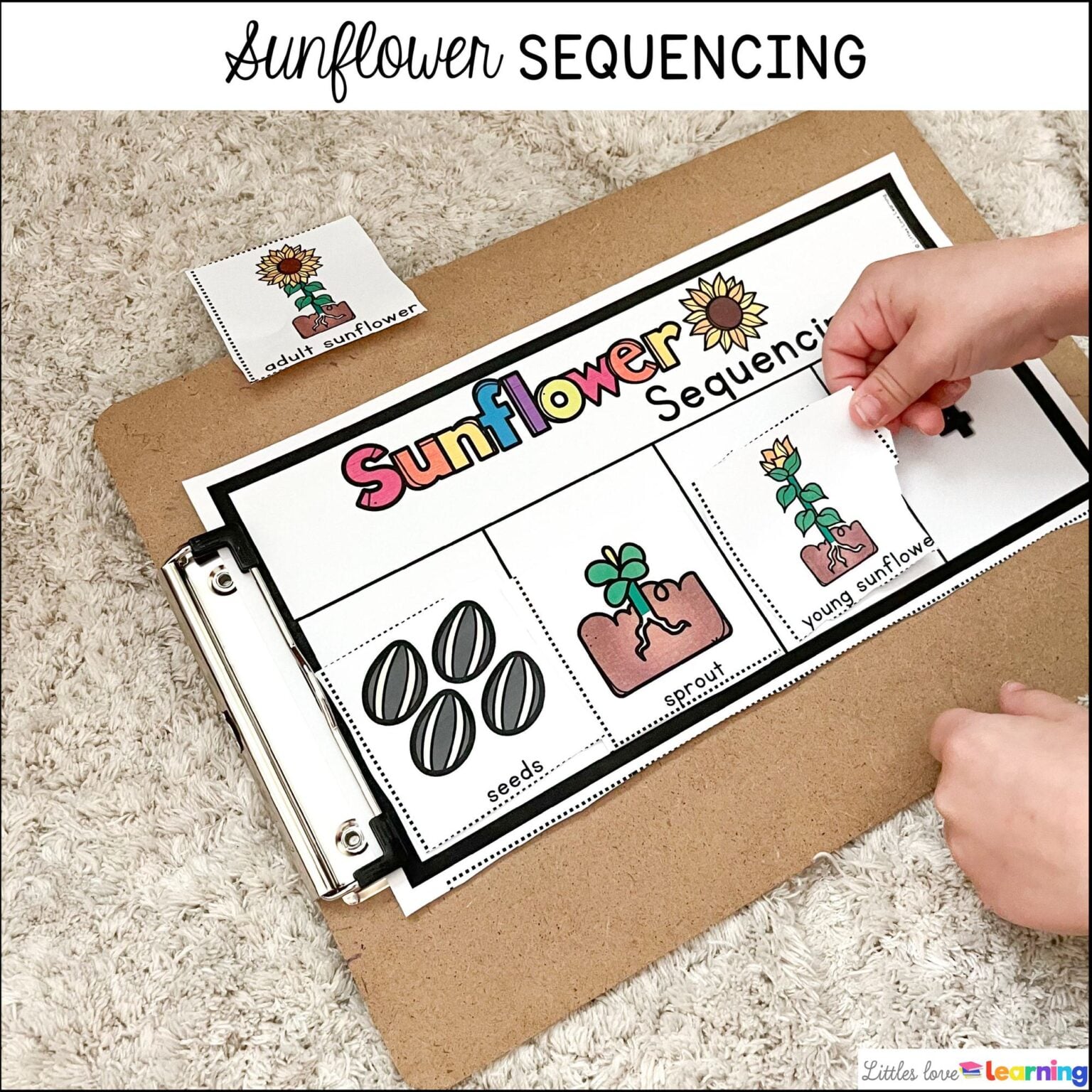 BLOOMING Garden & Plant Activities for Preschool & Kindergarten