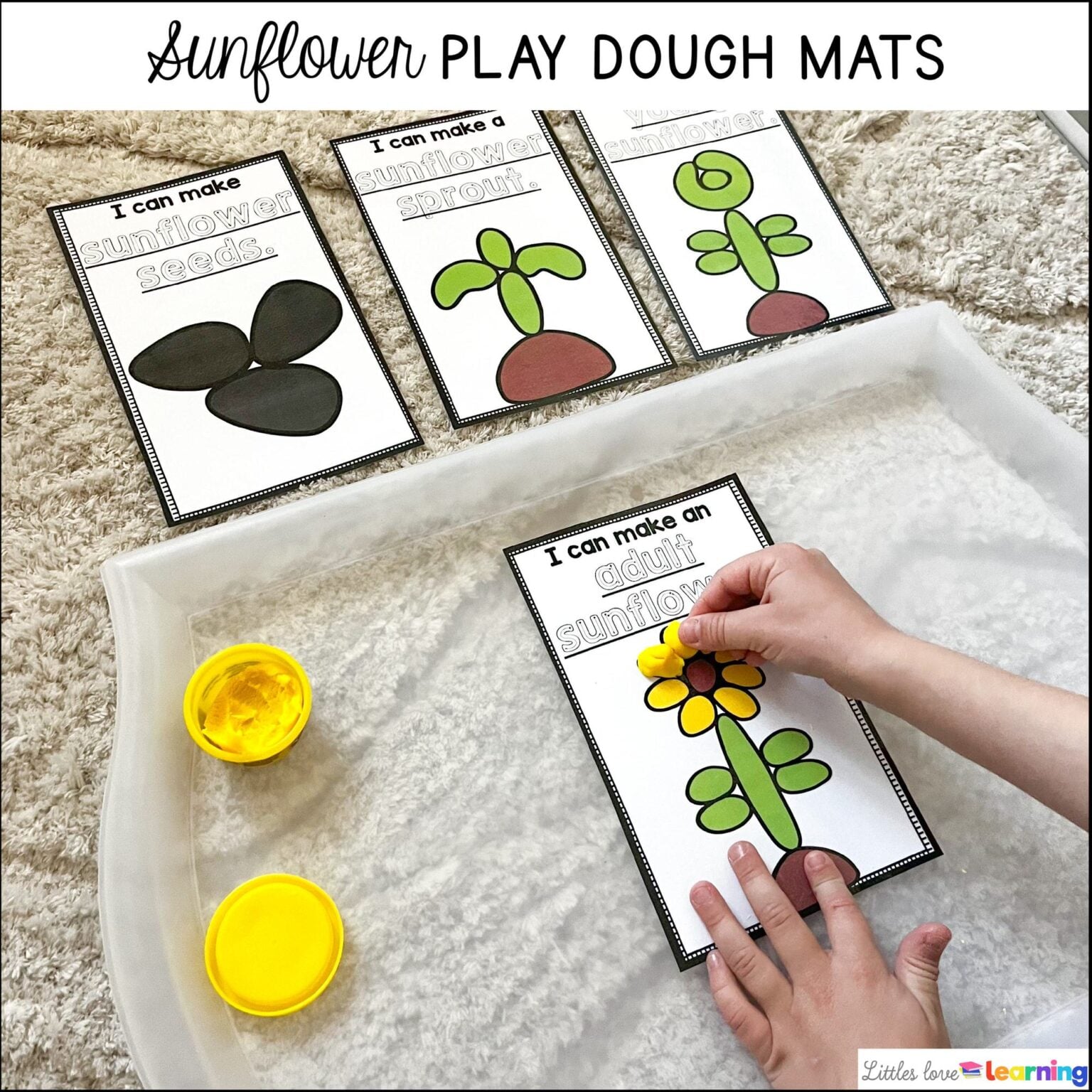 BLOOMING Garden & Plant Activities for Preschool & Kindergarten