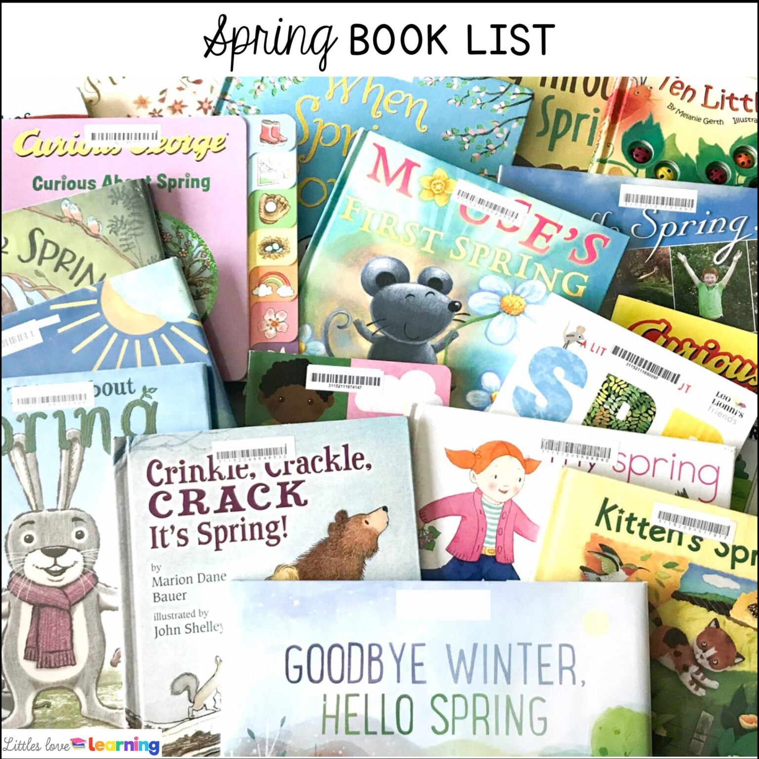 BLOOMING Garden & Plant Activities for Preschool & Kindergarten