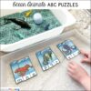 Under the Sea! Ocean Activities for Preschool, Pre-K, Kindergarten