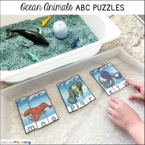 Under the Sea! Ocean Activities for Preschool, Pre-K, Kindergarten