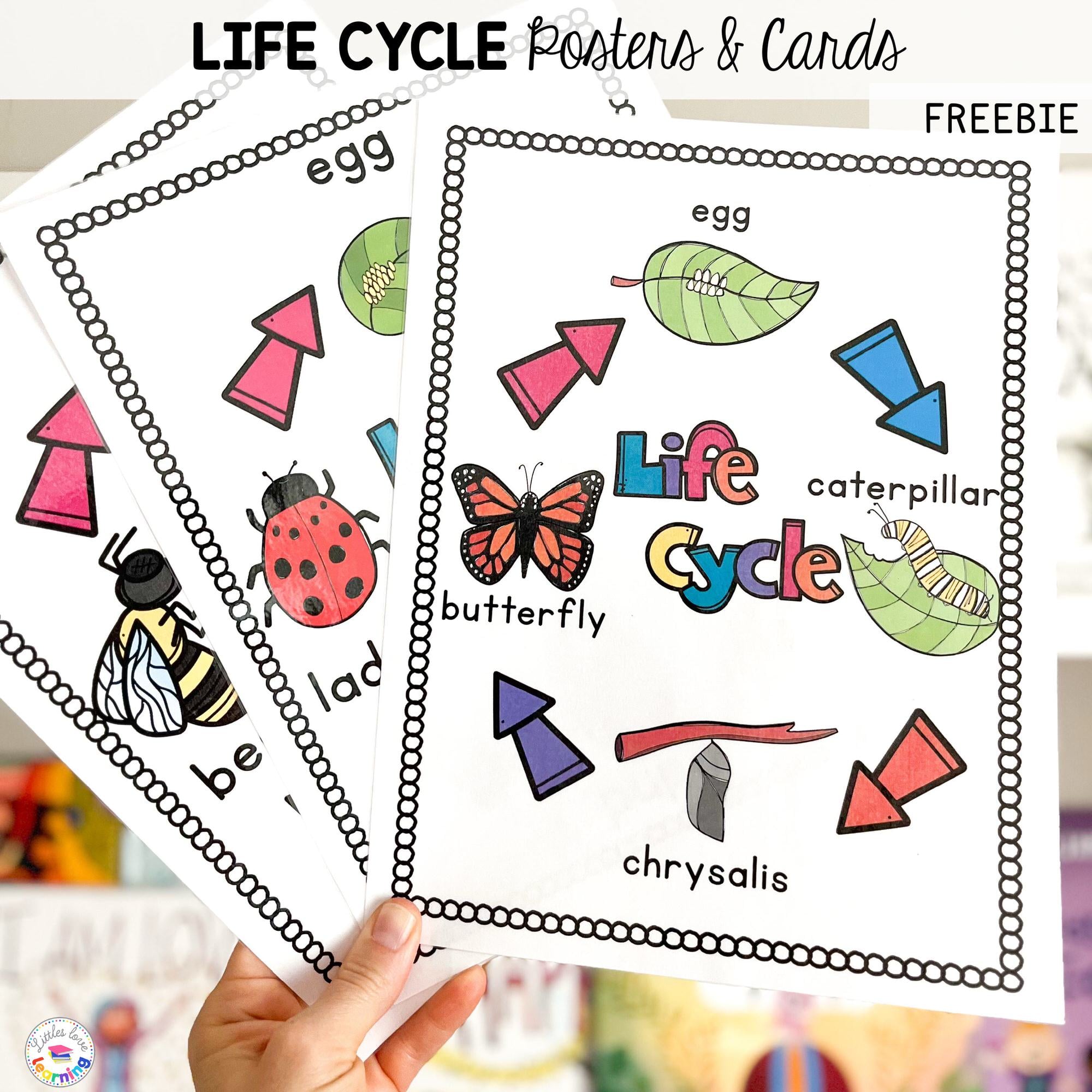 The BEST Busy Bugs & Insects Books for Preschool, Kindergarten