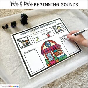20+ Vets Love Pets Activities for Preschool, Pre-K, & Kindergarten